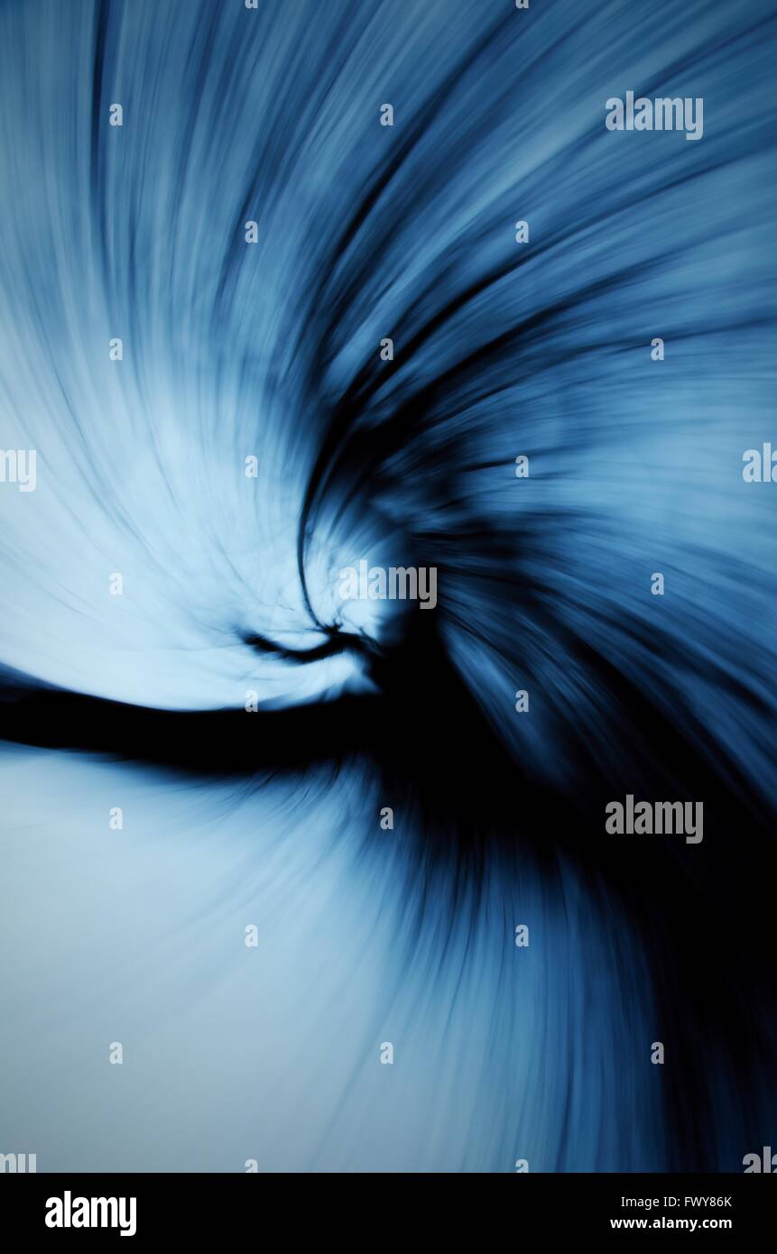 Trees vortex in side sun light, sky background Stock Photo - Alamy