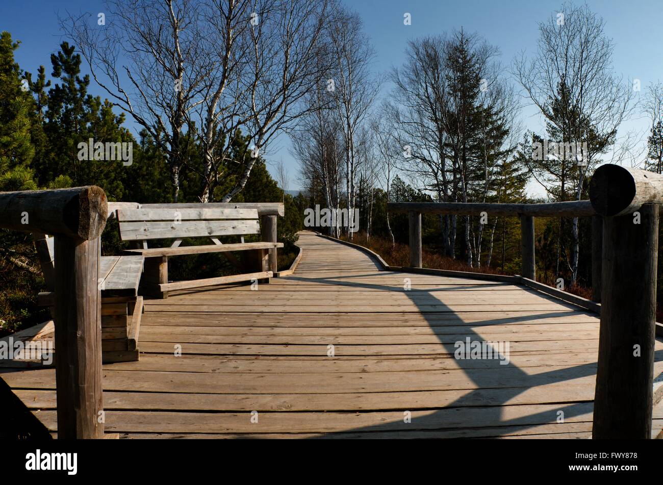 Wooden bench on path hi-res stock photography and images - Alamy
