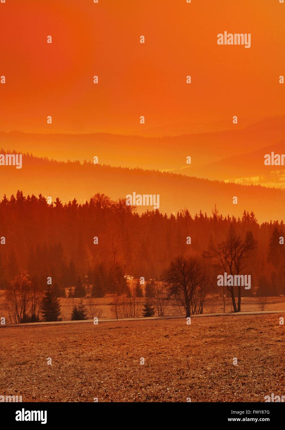 Awesome orange landscape of valley with forest and mountains in back ...
