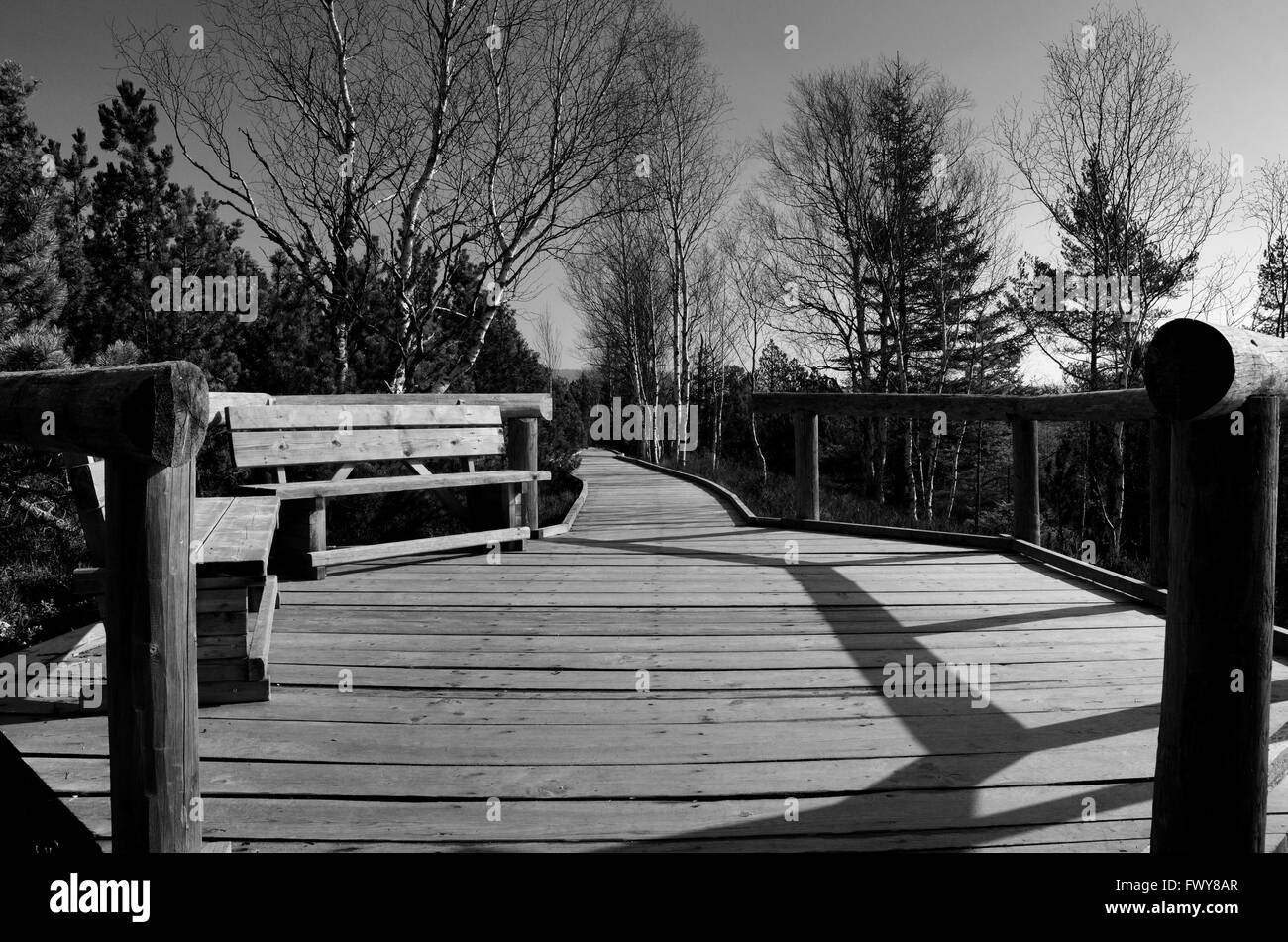 Empty benches Black and White Stock Photos & Images - Alamy