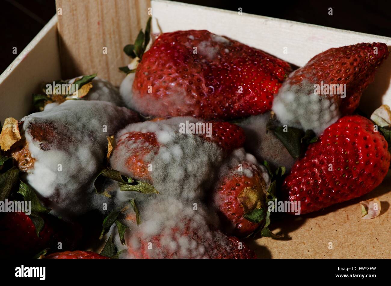 Nice texture hi-res stock photography and images - Alamy