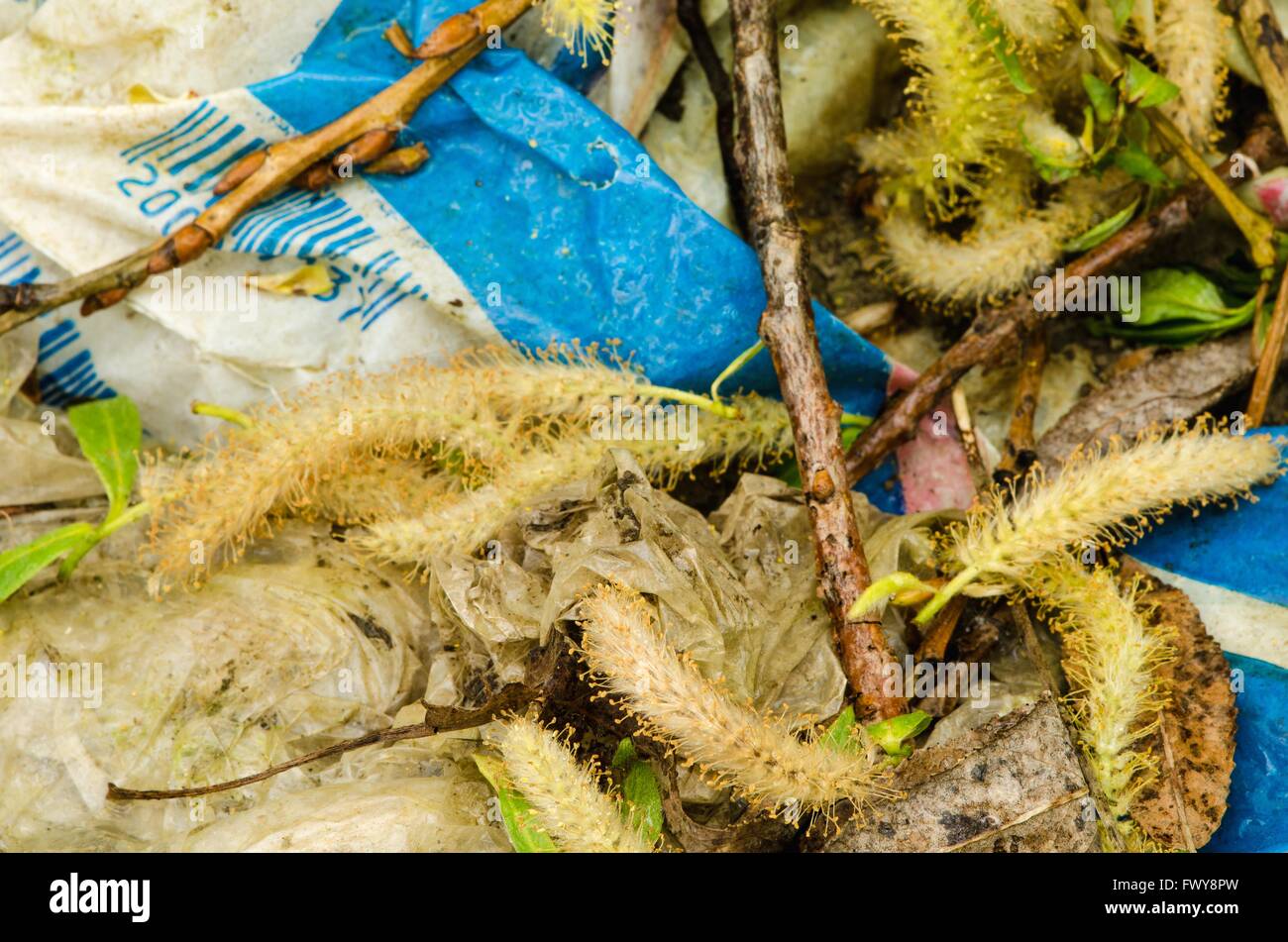 Plastic in nature hi-res stock photography and images - Alamy