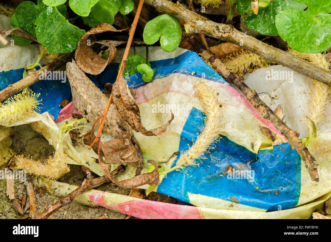 Plastic in nature hi-res stock photography and images - Alamy