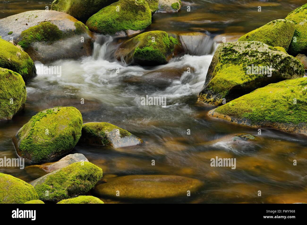 Fresh water running between hi-res stock photography and images - Alamy