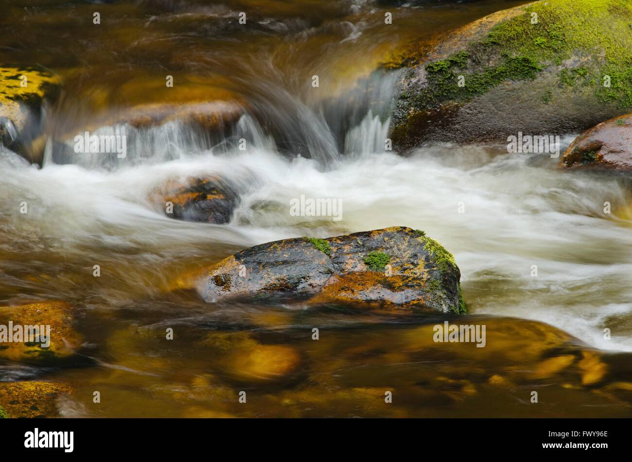 Cascade detail hi-res stock photography and images - Alamy