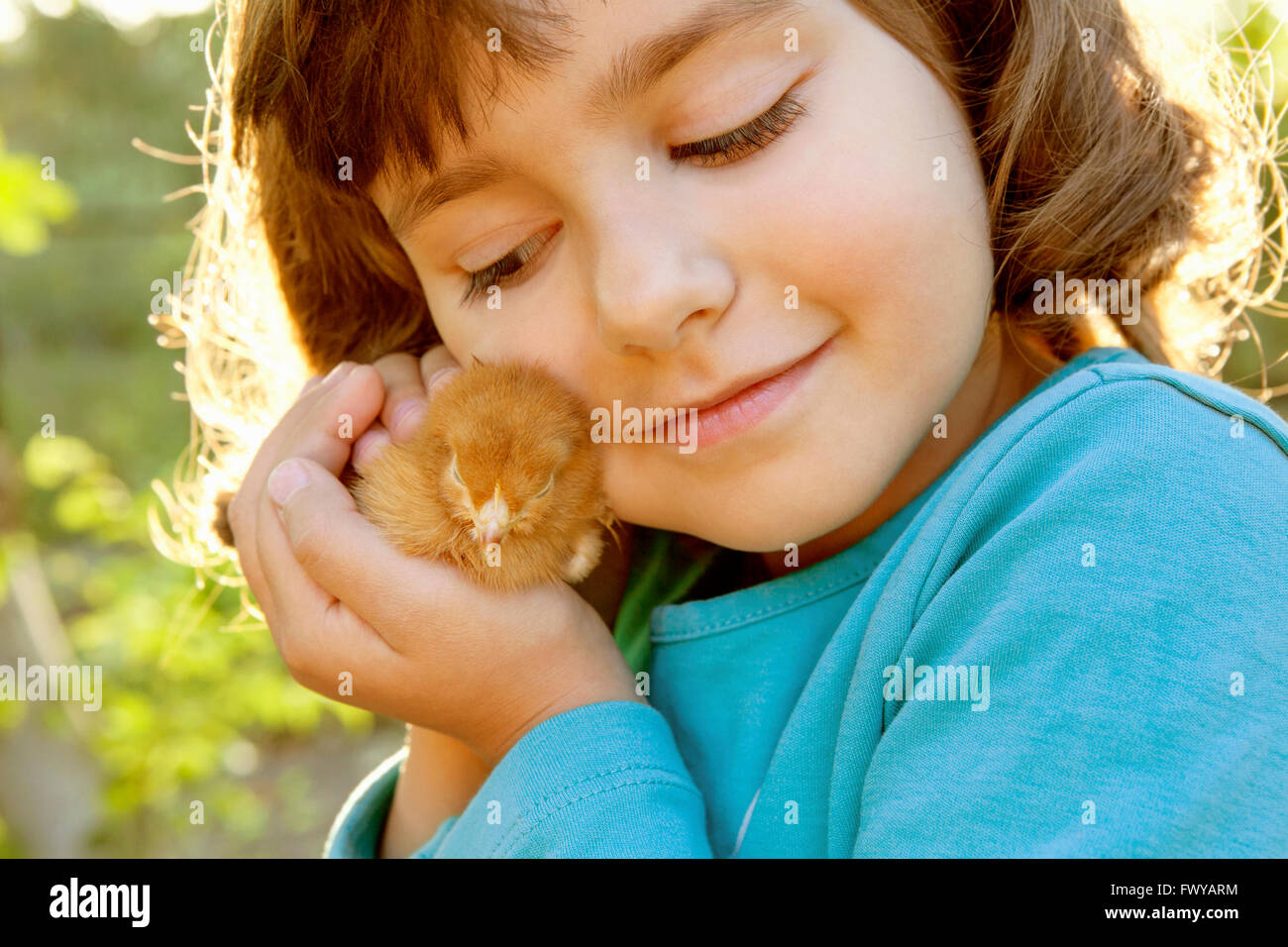 Hands holding chicken hi-res stock photography and images - Alamy