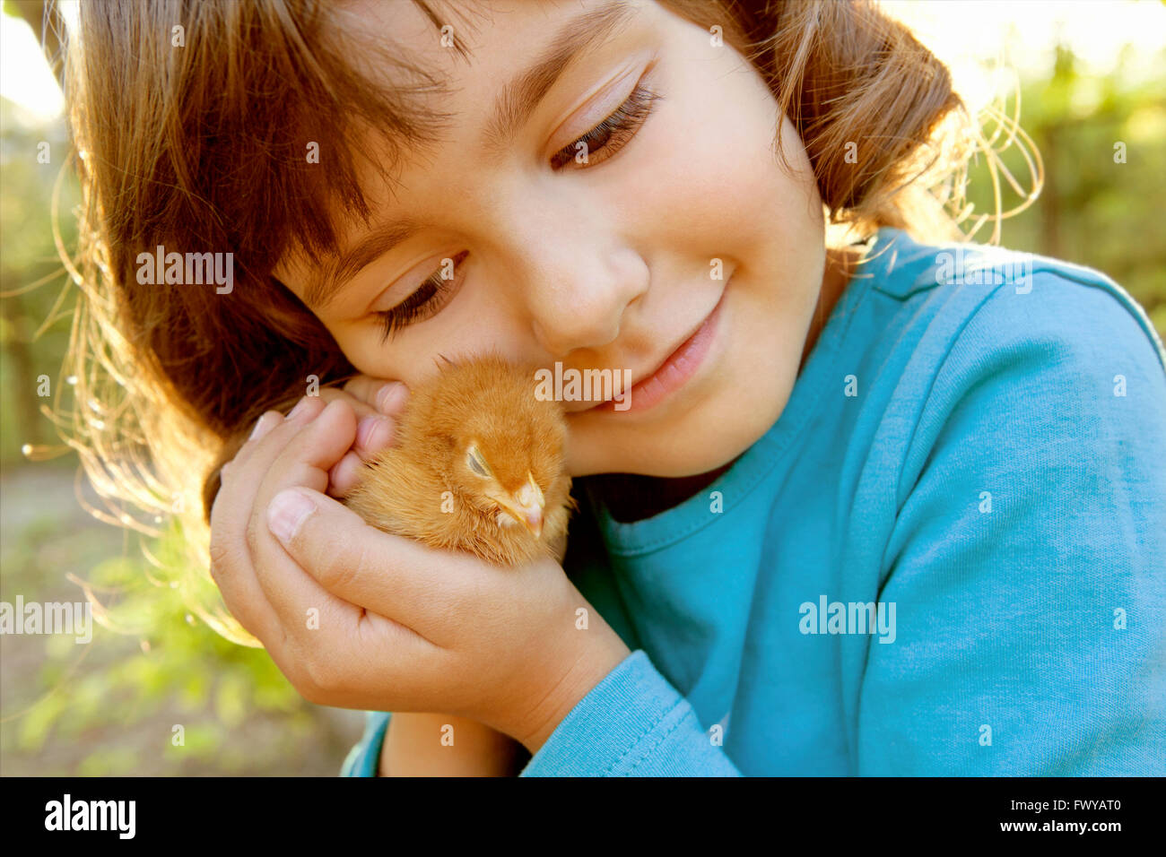 Hands holding chicken hi-res stock photography and images - Alamy
