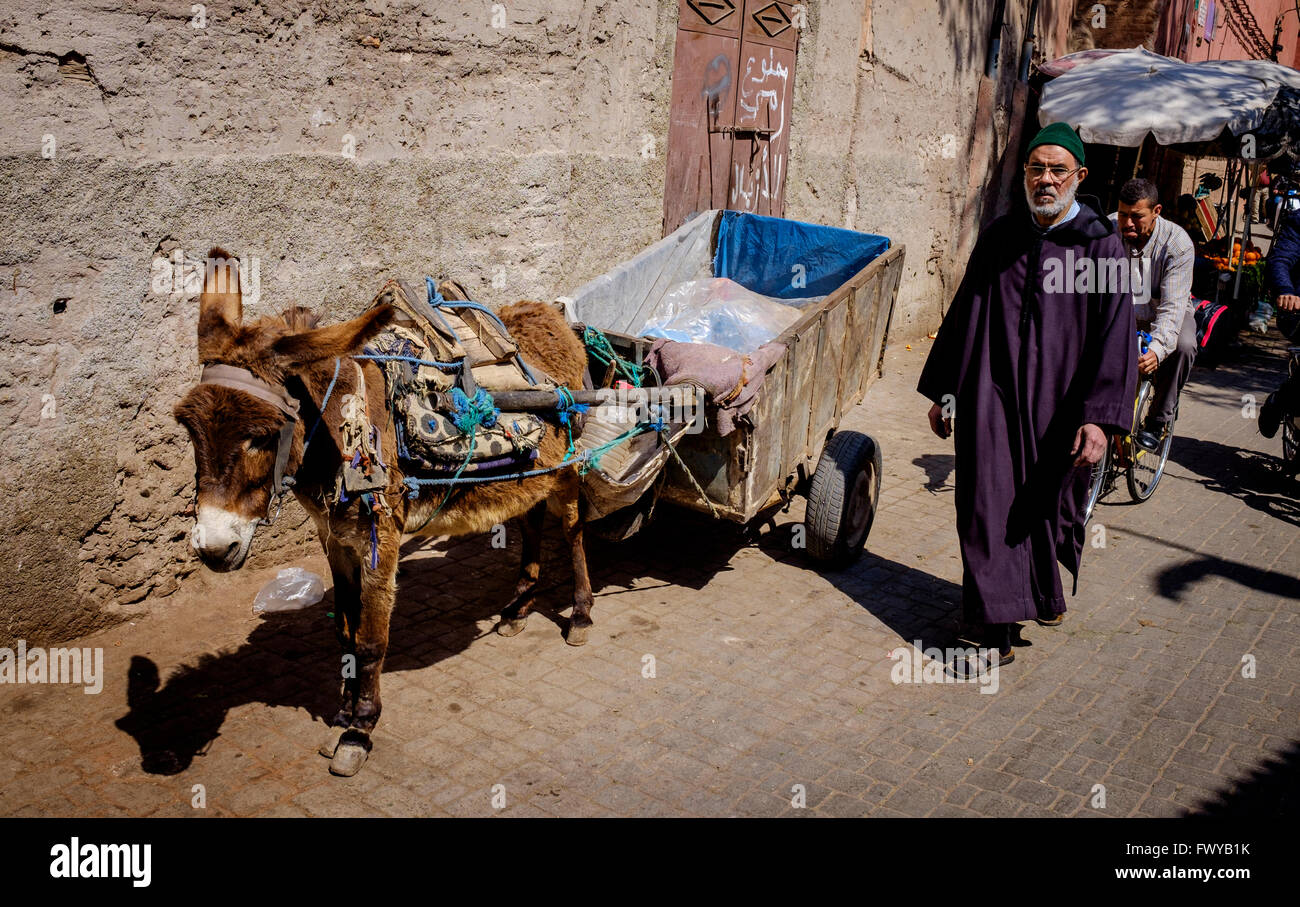 Man donkey morocco hi-res stock photography and images - Alamy