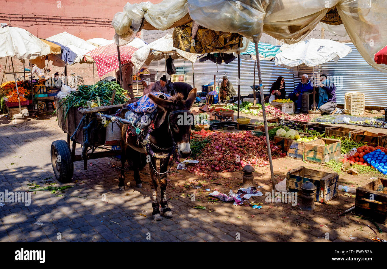 A donkey and loaded cart in a vegetable market in the medina, Marrakech ...