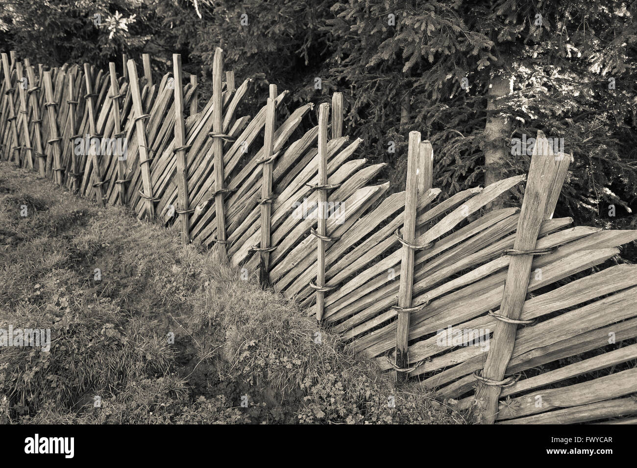 Fence inside a typical forest of the Italian Alps (vintage effect Stock ...
