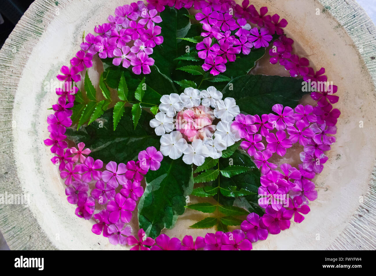 Flower petals in the water jar, Maldives Stock Photo - Alamy