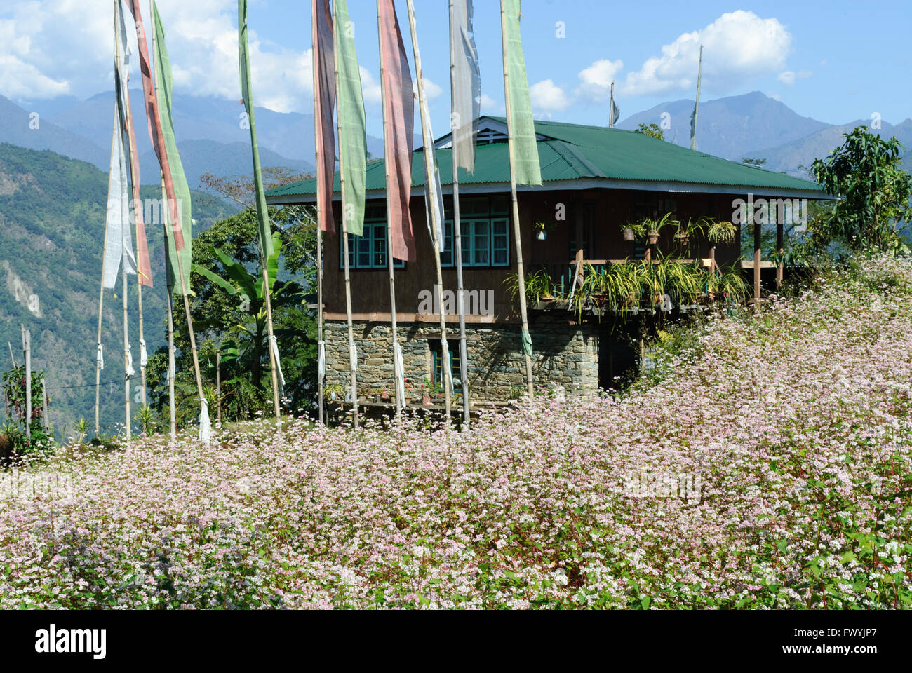 House in Indian himalayas in Sikkim Stock Photo - Alamy