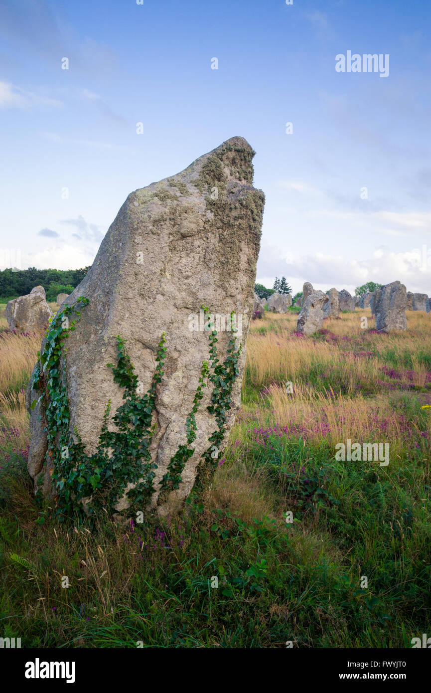 Dolmen megalith bretagne carnac hi-res stock photography and images - Alamy