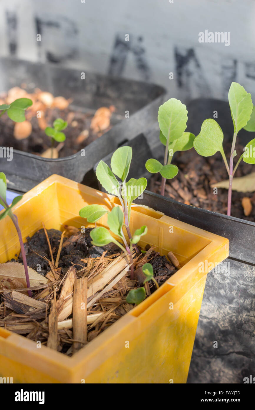 Fertile part hi-res stock photography and images - Alamy