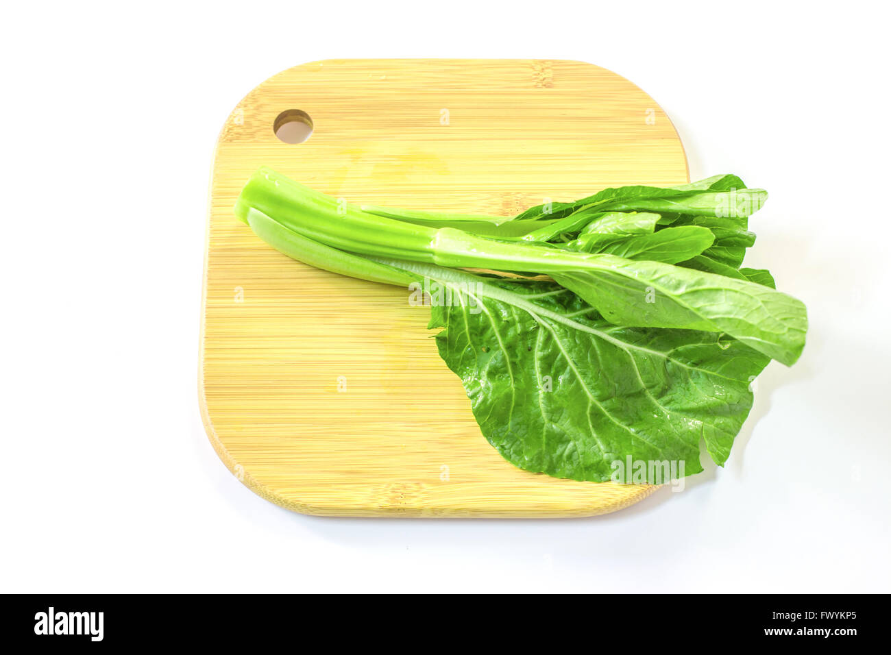 Asia plants white background Cut Out Stock Images & Pictures - Alamy