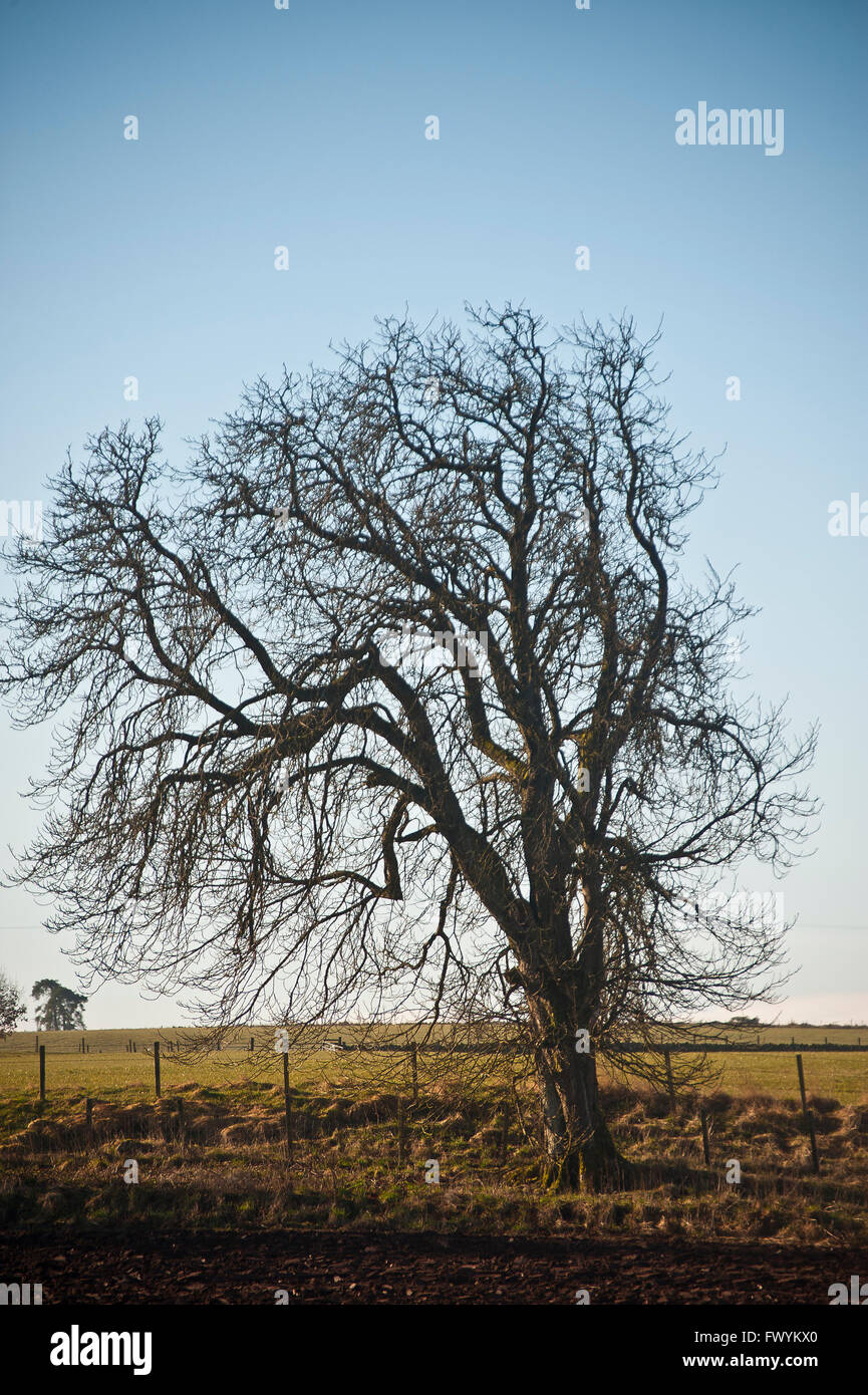 Agriculture habitat hi-res stock photography and images - Alamy