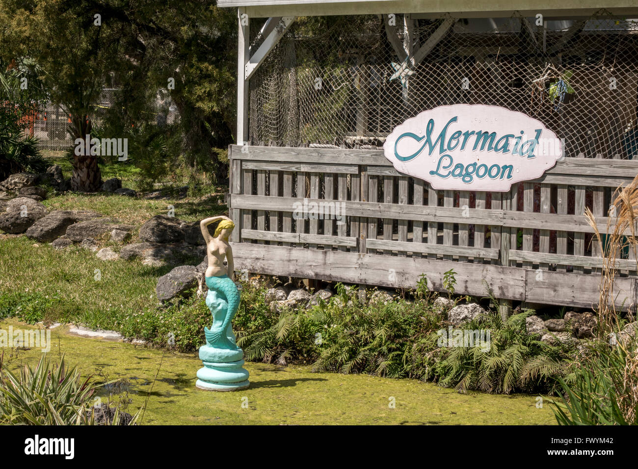 A Mermaid Statue In The Mermaid Lagoon At Weeki Wachee Springs State ...
