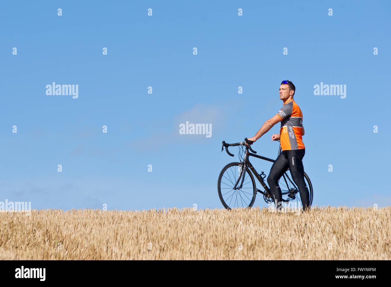 man in orange shirt in yellow harvested corn field holding bike on a ...