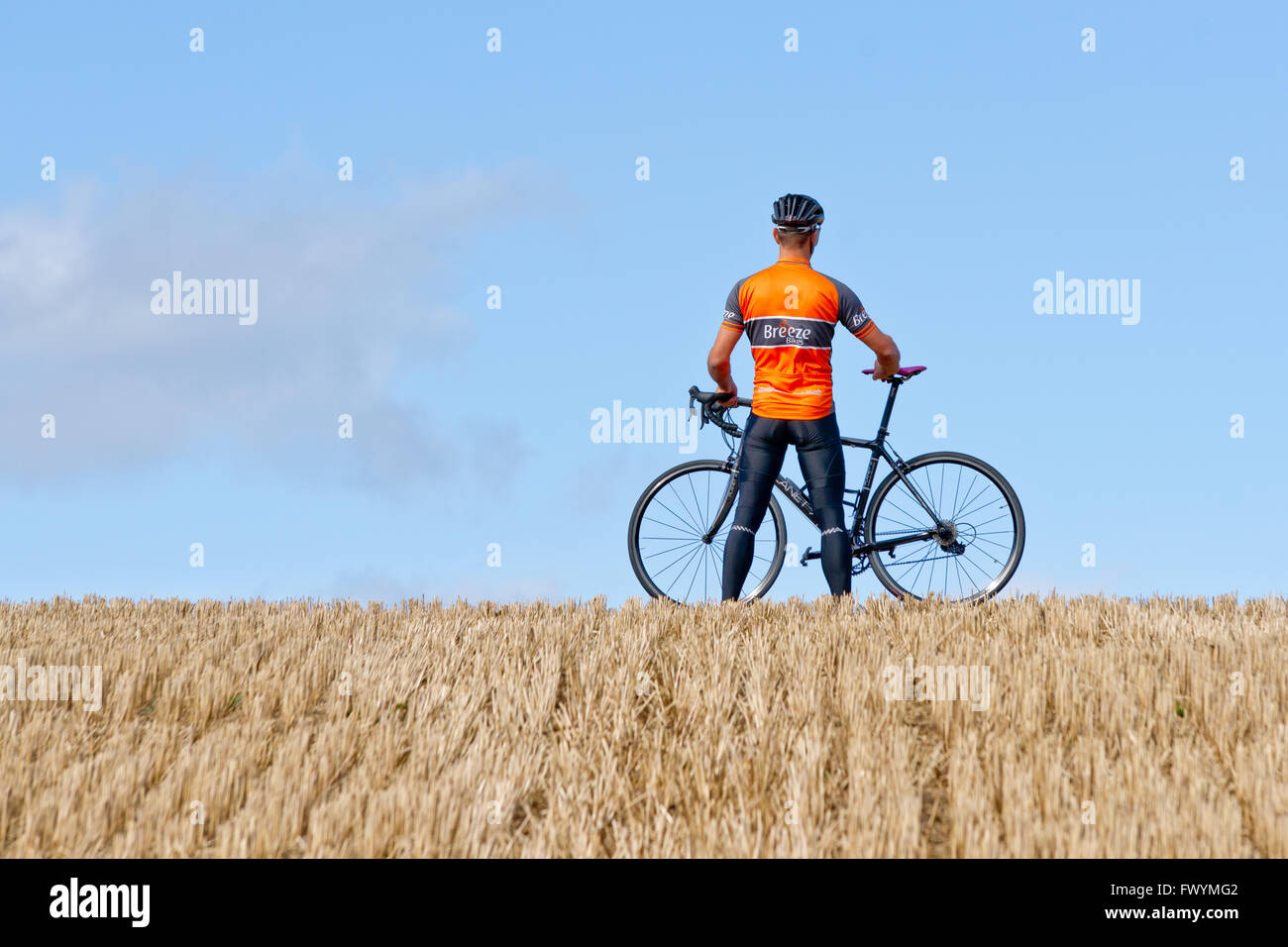 man in orange shirt in yellow harvested corn field holding bike on a ...
