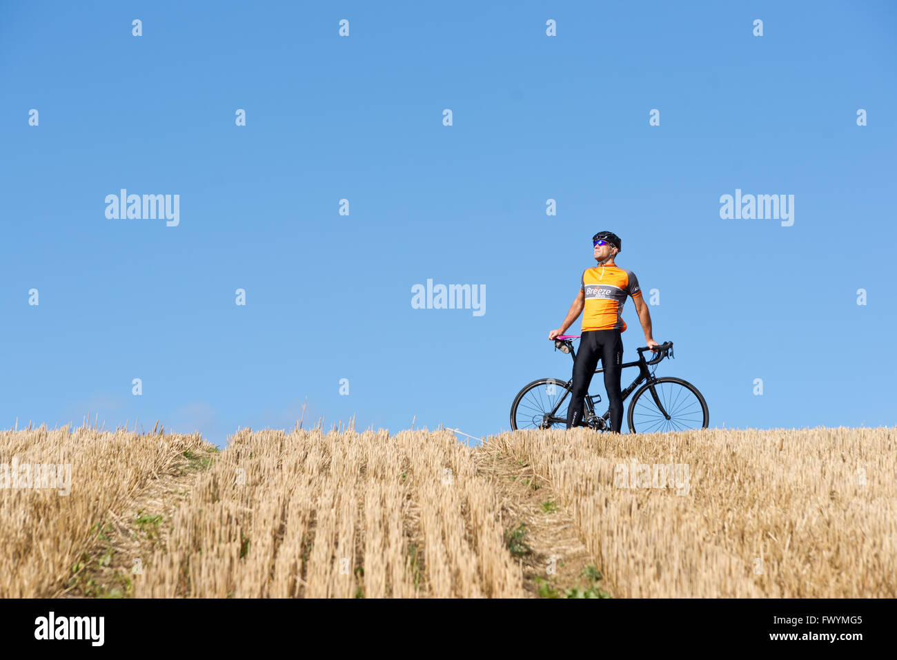 man in orange shirt in yellow harvested corn field holding bike on a ...