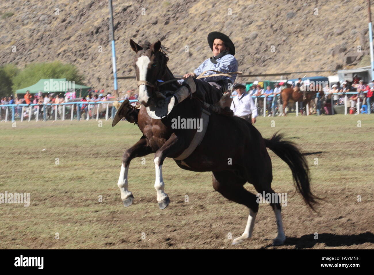Gaucho argentina patagonia hi-res stock photography and images - Alamy