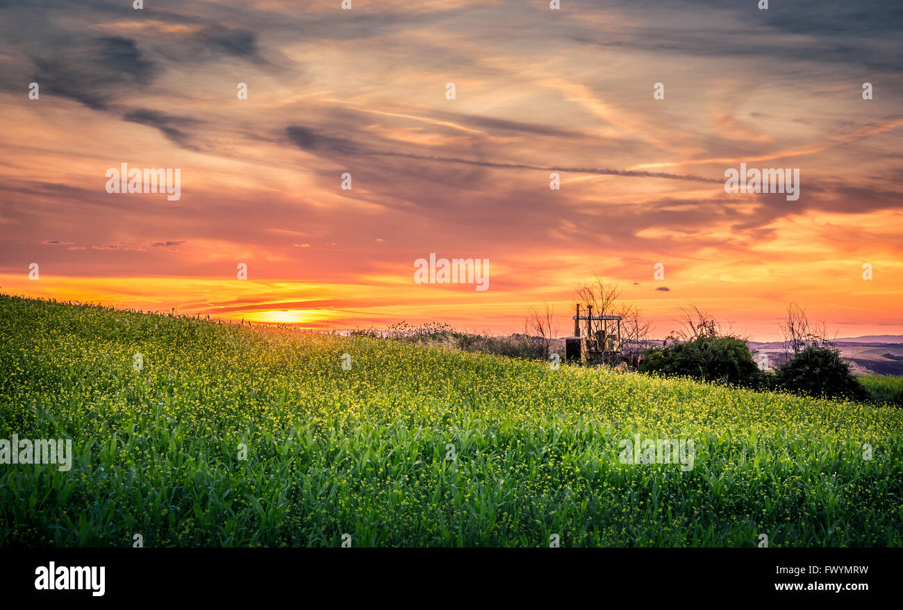 Amazing sunset with dramatic sky. Tuscan landscape Stock Photo - Alamy