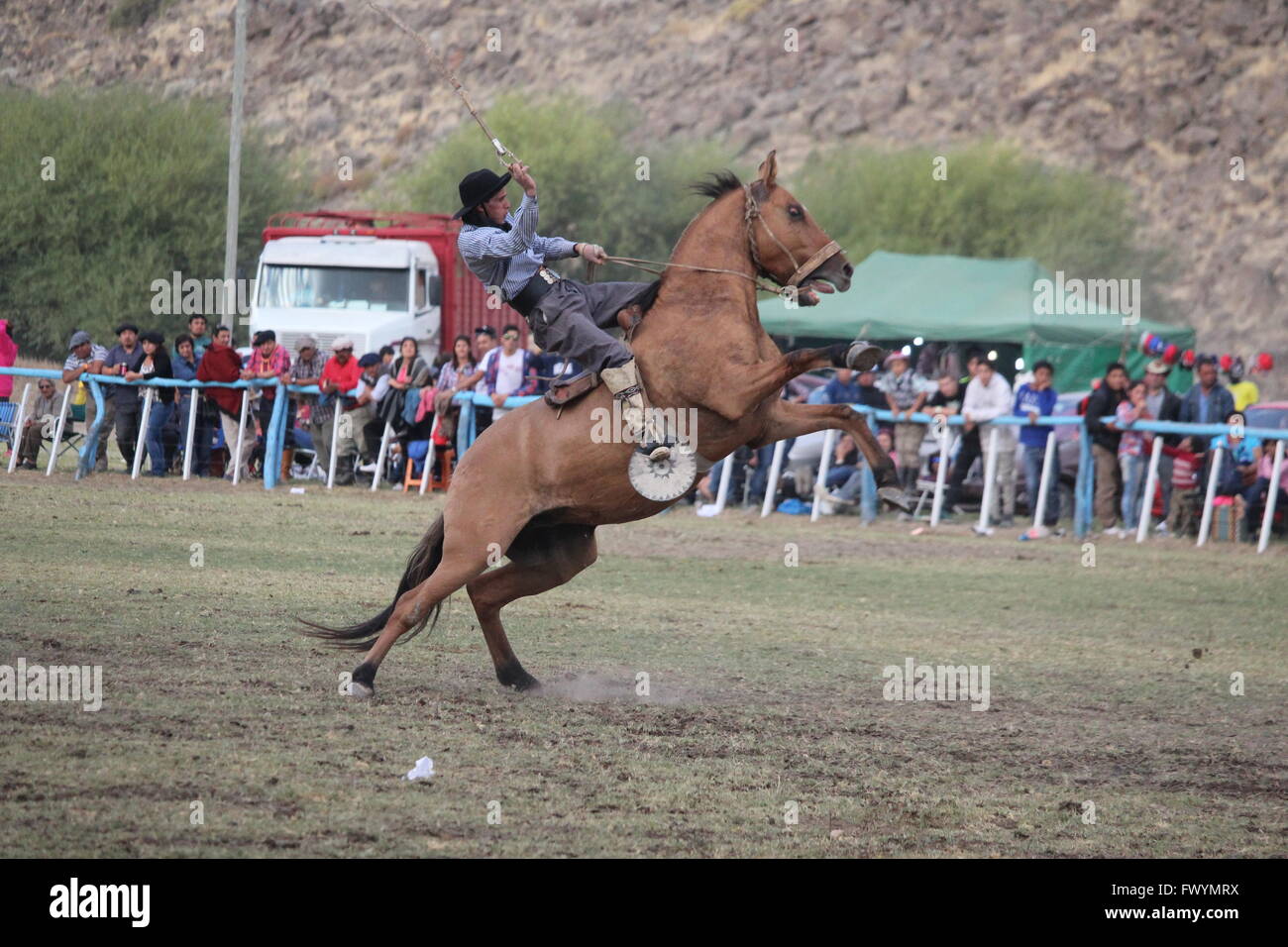 Bucking horse in a gaucho Rodeo in Patagonia Argentina Stock Photo - Alamy