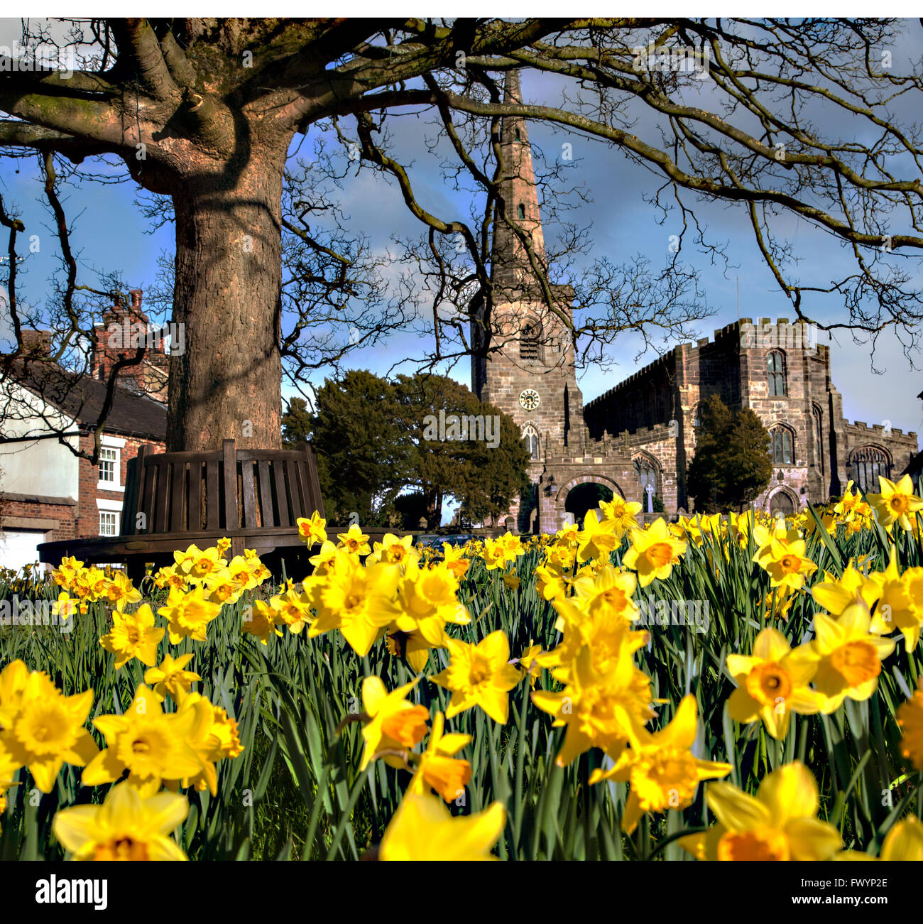 St Mary's parish Church at Astbury near Congleton Cheshire England ...
