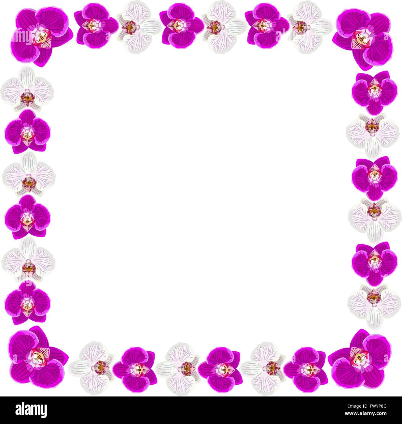 Beautiful orchid flowers frame Stock Vector Image & Art - Alamy