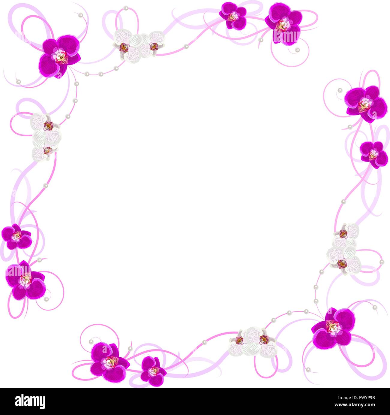 Delicate frame with orchid flowers Stock Vector Image & Art - Alamy