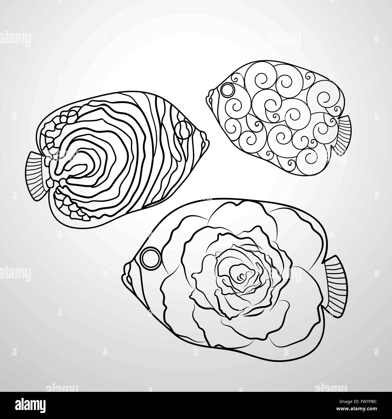 Ornamental graphic fish Stock Vector Image & Art - Alamy