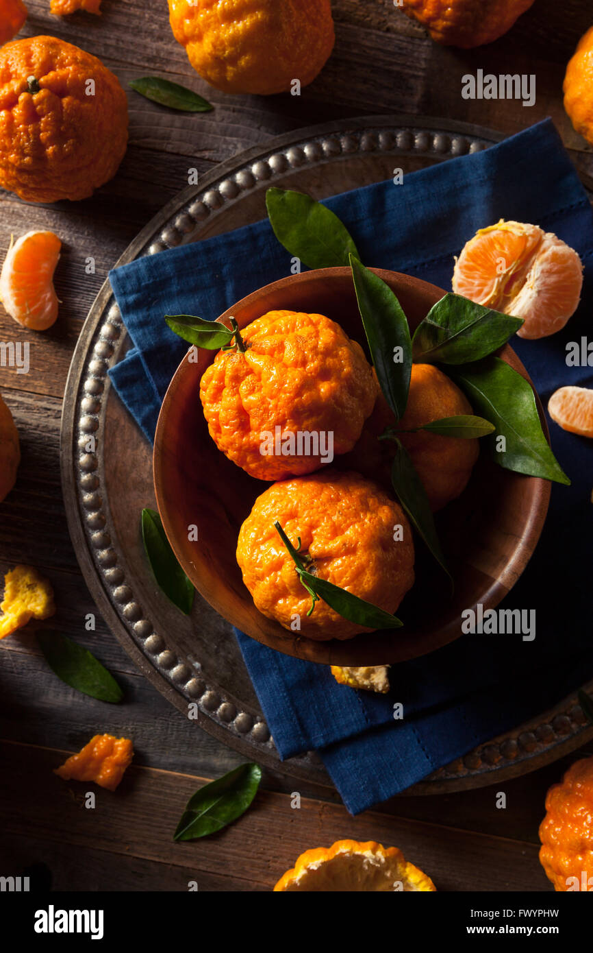 Golden nugget mandarins hi-res stock photography and images - Alamy