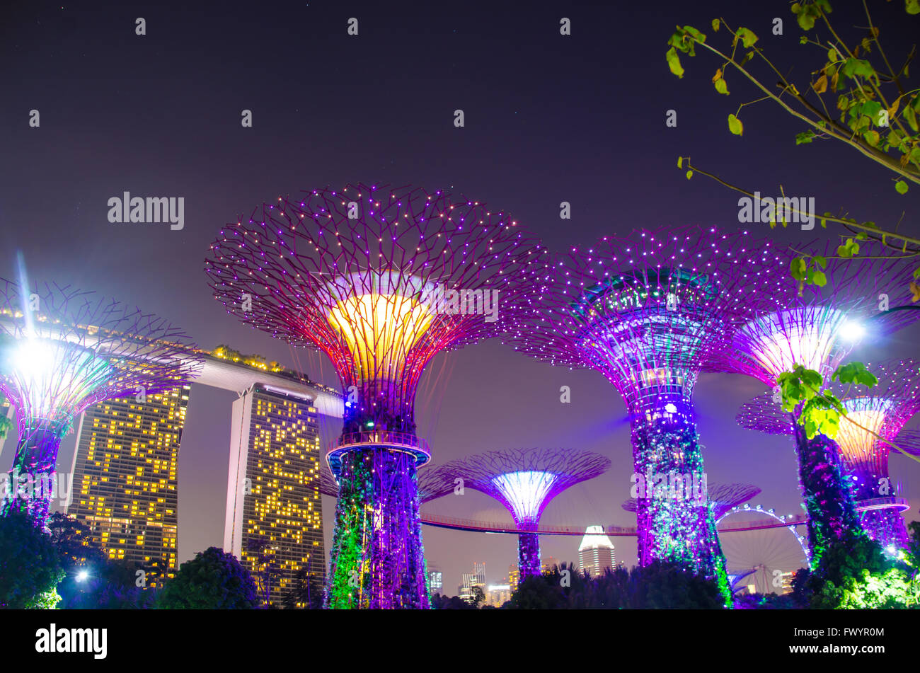 light of Super tree in Garden by the Bay and Marina Bay sand in ...
