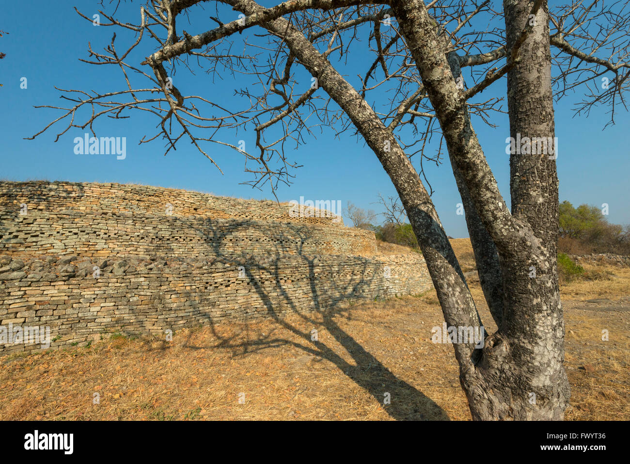 Torwa Dynasty High Resolution Stock Photography and Images - Alamy