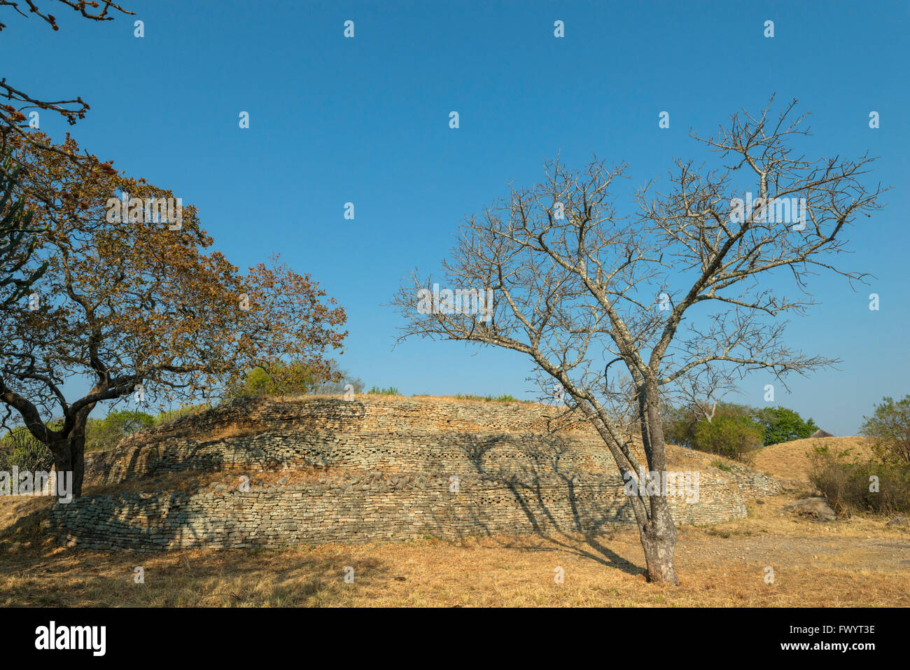 Torwa dynasty hi-res stock photography and images - Alamy