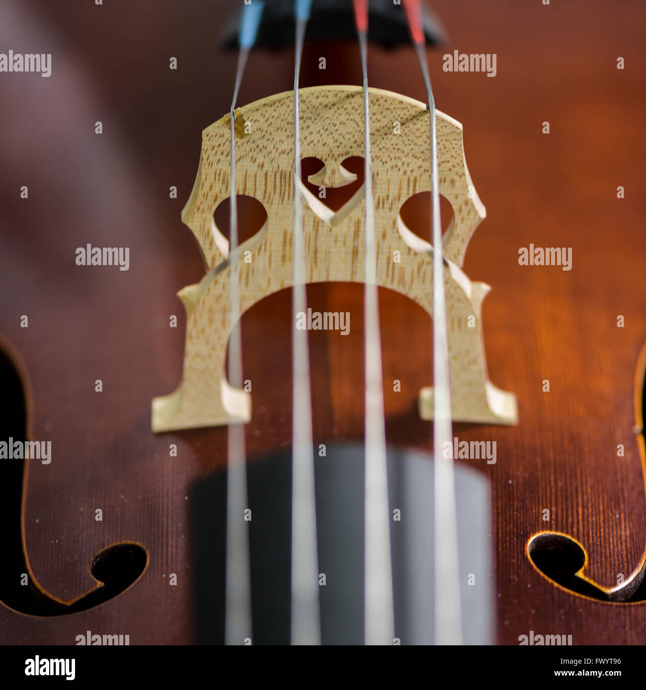 Cello strings closeup Stock Photo - Alamy