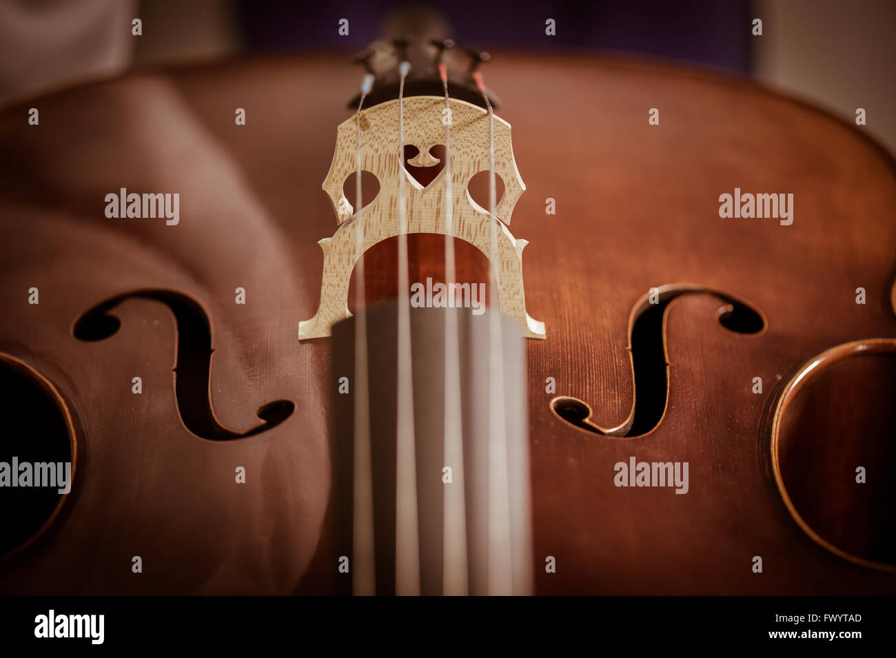 Cello strings closeup Stock Photo - Alamy