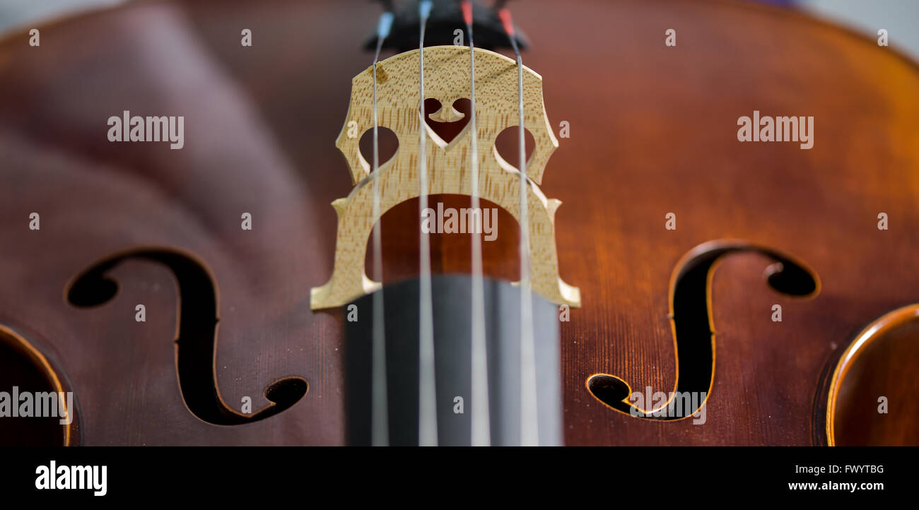 Cello strings closeup Stock Photo - Alamy