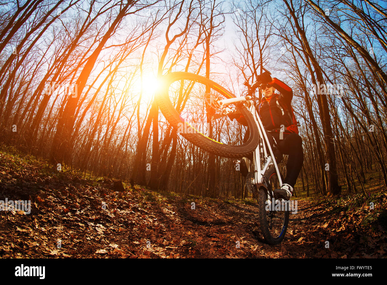 Cyclist Riding the Bike Stock Photo - Alamy