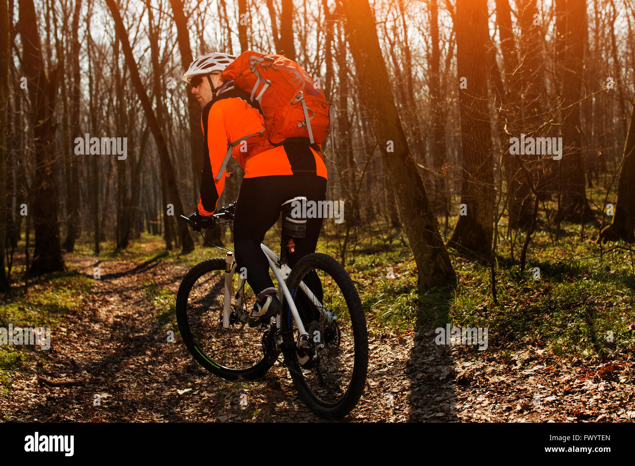 Mountain biker riding on bike in springforest landscape Stock Photo - Alamy
