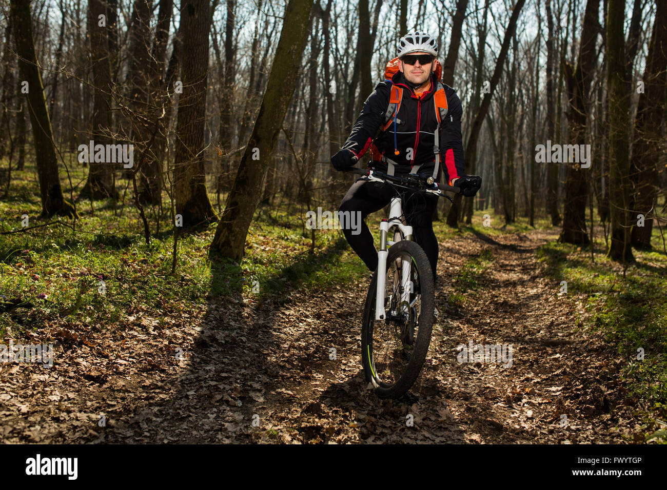 Mountain biker riding on bike in springforest landscape Stock Photo - Alamy