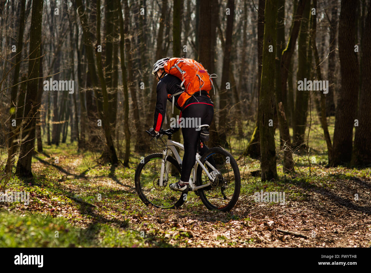 Mountain biker riding on bike in springforest landscape Stock Photo - Alamy