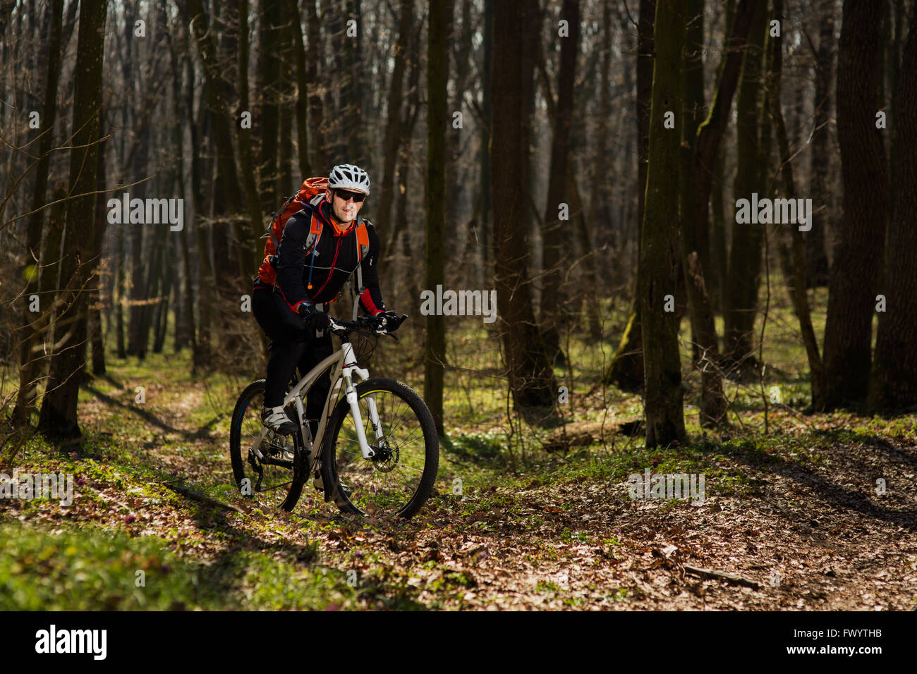 Mountain biker riding on bike in springforest landscape Stock Photo - Alamy
