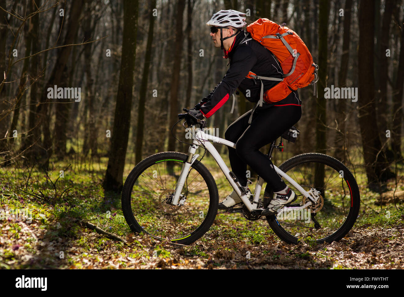 Mountain biker riding on bike in springforest landscape Stock Photo - Alamy