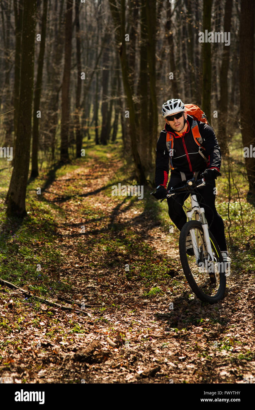 Mountain biker riding on bike in springforest landscape Stock Photo - Alamy