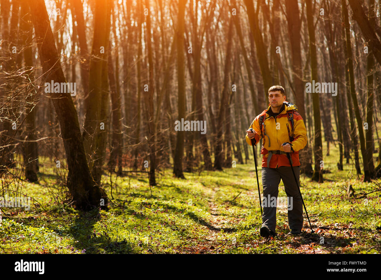 Active healthy man hiking in beautiful forest Stock Photo - Alamy