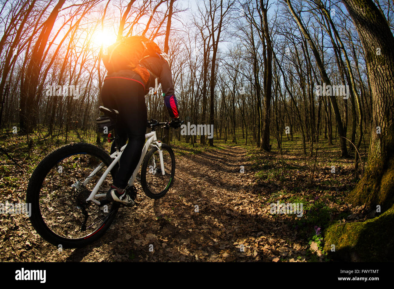 Cyclist Riding the Bike Stock Photo - Alamy