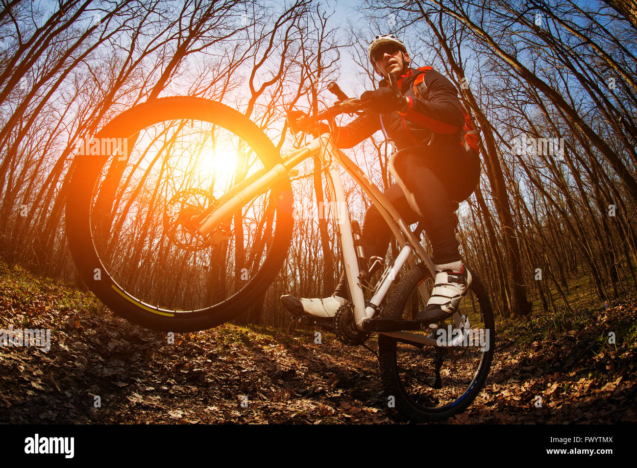 Cyclist Riding the Bike Stock Photo - Alamy