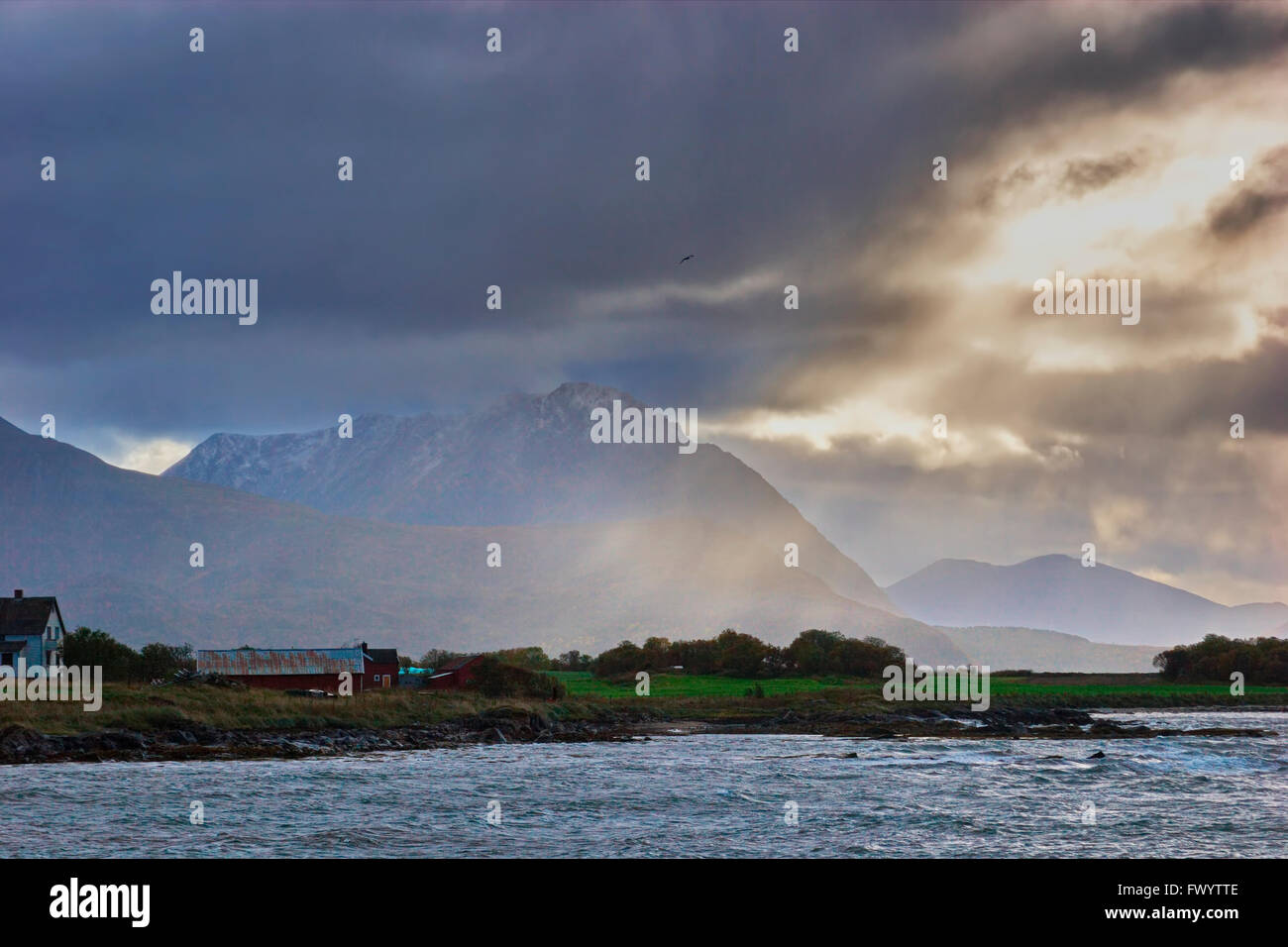 Lashing Rain High Resolution Stock Photography and Images - Alamy