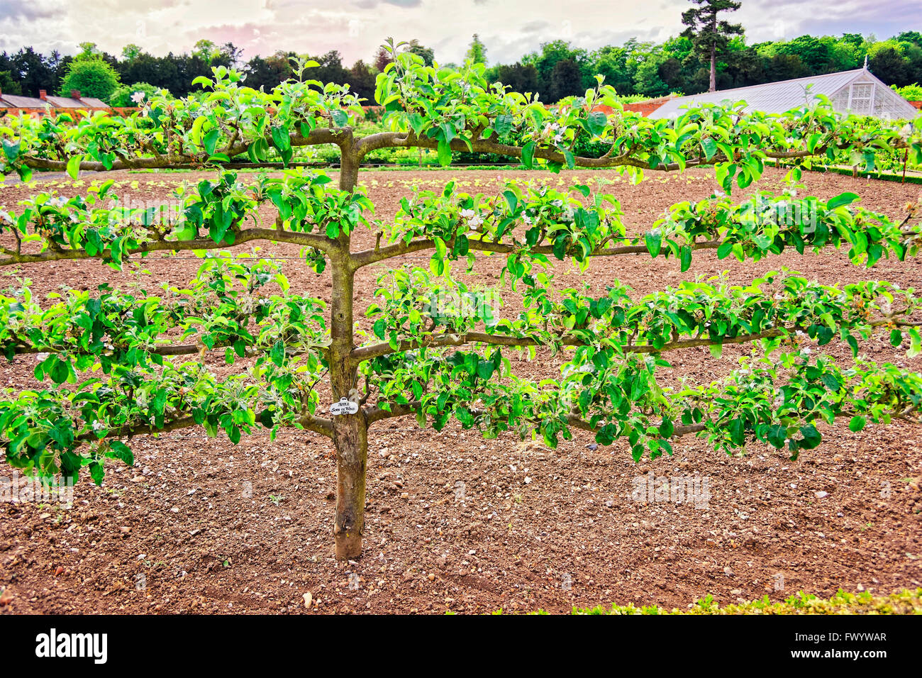 Organic garden in medieval hi-res stock photography and images - Alamy